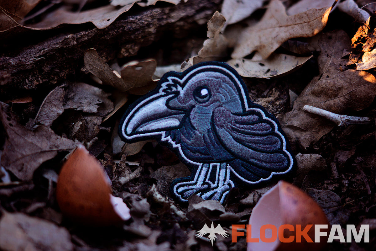 Raylan the Raven – FlockFam